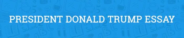 President Donald Trump Essay - Aceyourpaper.com
