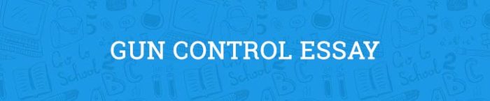 Gun Control Essay Example (Updated in 2022)