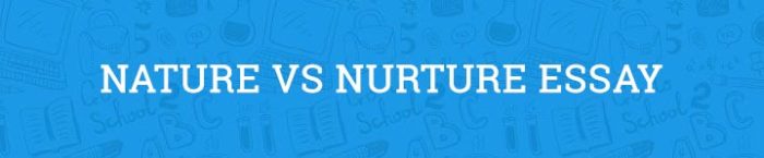 Free Nature vs Nurture Essay Example - Aceyourpaper.com