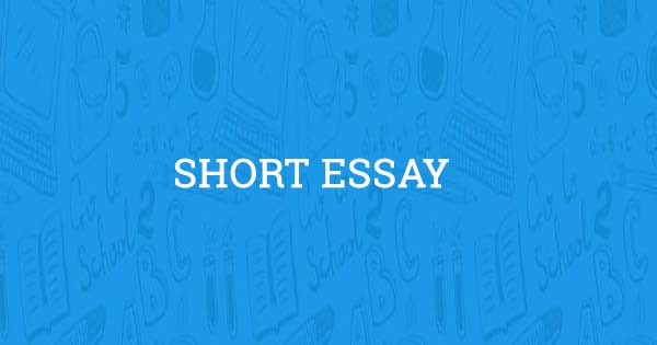 Short Essay: The Definitive Guide to Writing (2022 Update)