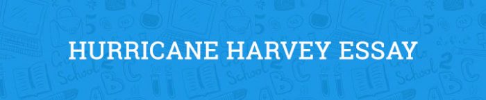 Hurricane Harvey Essay [ Free Example ]
